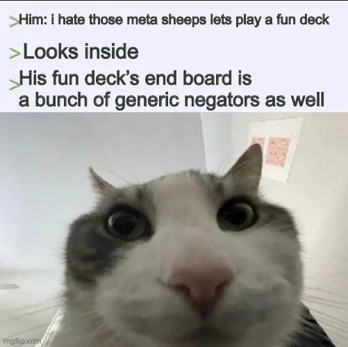 Dommage Memes 2024 January Memes Trapperman Forums