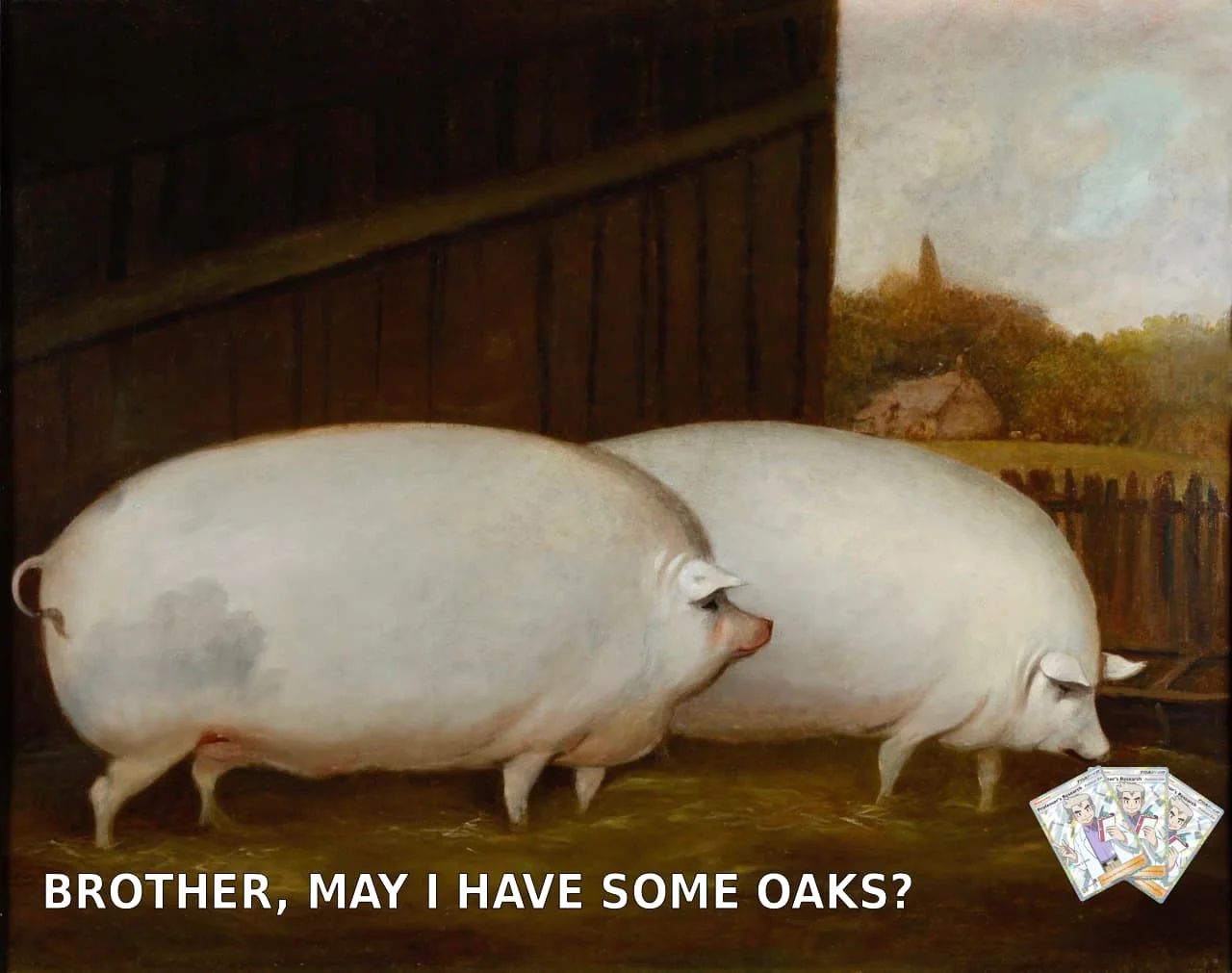 PTCGP Meme Review #61 | Pokémon Meta